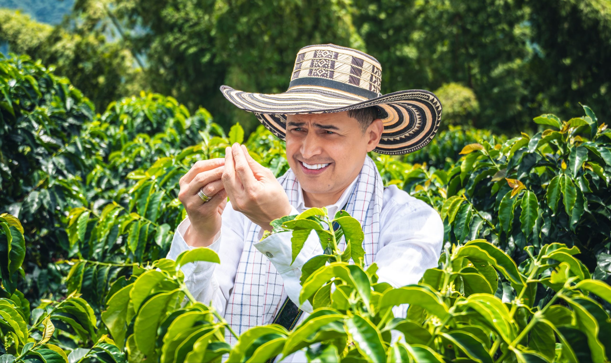 Jorge Celedón lanzó su marca de café: Ay Ombe, con cinco aromas para ...